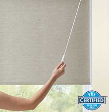 Roller Shades - Enlightened Style